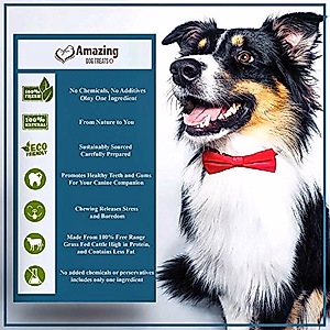 Amazing Dog Treats - Beef Cheek Strips Premium Dog Chew (6 Inch - 6 Pack) - NO Odor - Thick Cut - Rawhide Alternative - Beef Cheek Slice Chip Sticks - No Dyes, Chemicals, or Preservatives