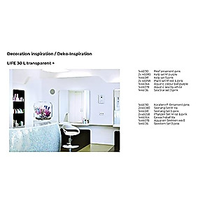 biOrb Pet Ball For All Breeds, Purple, 1.76 Ounces