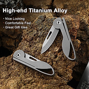 Joycube Titanium Alloy Small Keychain Knife, Mini Folding Pocket Knife, EDC Box Cutter, Gift for Women and Men (Titanium Alloy Handle/5Cr13 Steel Blade)