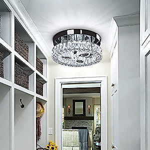 Finktonglan 11.6” Crystal LED Ceiling Light Flush Mount, Modern 30W Round Ceiling Lamp K9 Crystal Light Fixtures, Stainless Steel Leaf Crystal Chandelier for Dining Room Living Room (Cool White)