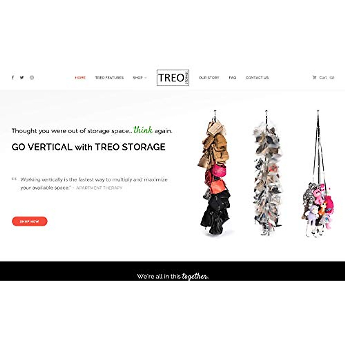 TREO Storage Shoe & Purse Organizer