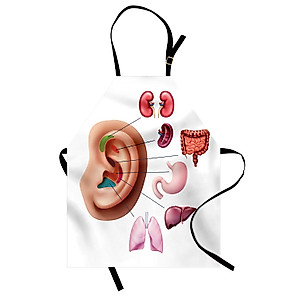 Lunarable Organs Apron, Illustration of Acupuncture Points on Ear Internal Human Insides, Unisex Kitchen Bib with Adjustable Neck for Cooking Gardening, Adult Size, Pale Redwood and Multicolor