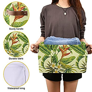 Gougeta Foldable Storage Basket with Handle, Tropical Exotic Plumeria and Palm Leaves Rectangular Canvas Organizer Bins for Home Office Closet Clothes Toys 2 Pack