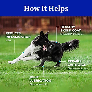 Joint Mobility Pro Soft Chews for Dogs, Over 60 lb, 120 ct