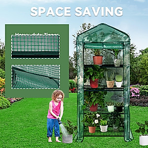 Dstone Mini Greenhouse 4-Tier Sturdy Shelves 29X20X57inch Grow Plants,Seeding,Flowers Indoor Outdoor,for All Seasons in Garden
