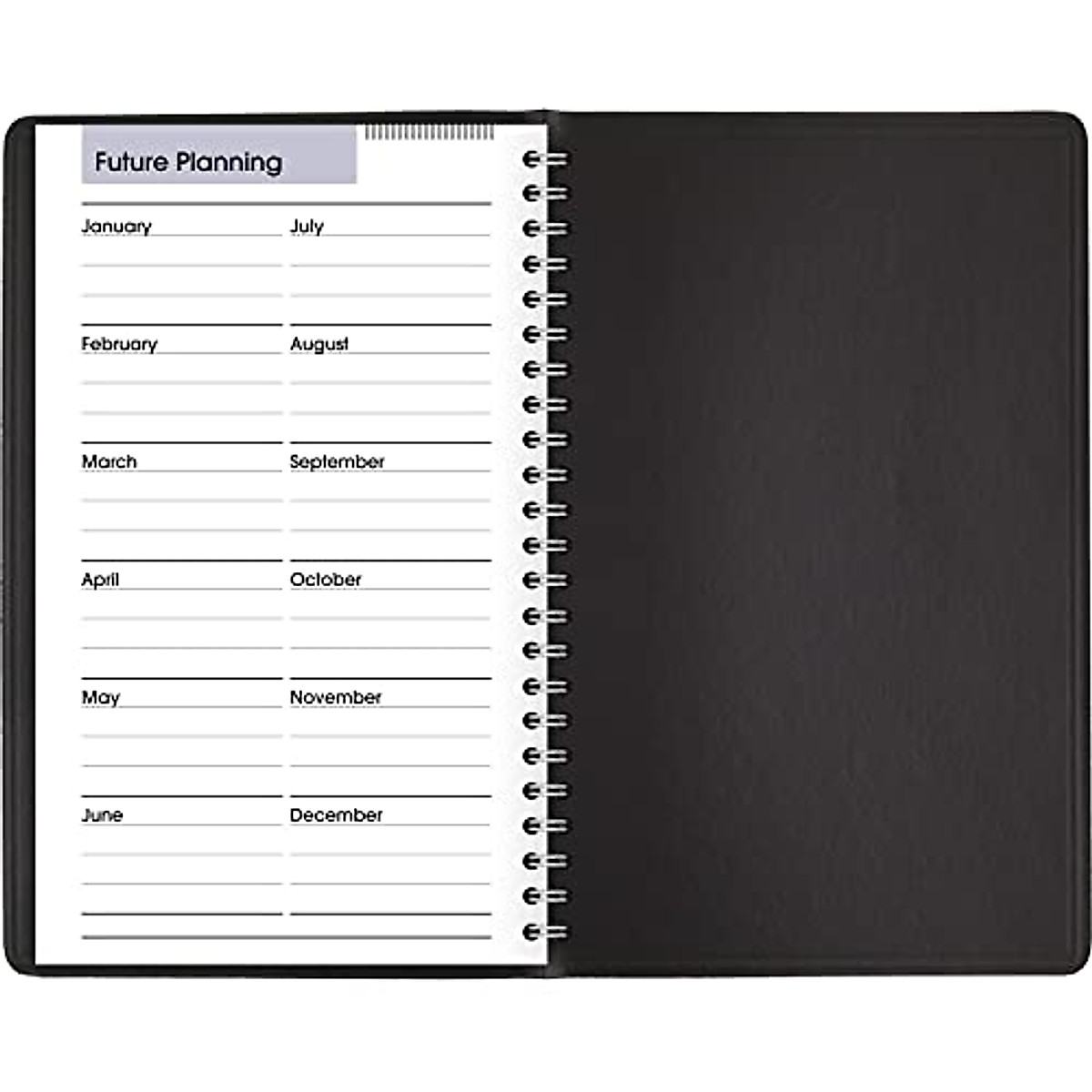 AT-A-GLANCE 2023 Daily Planner, DayMinder, Quarter-Hourly Appointment Book, 5" x 8", Small, Black (G10000)