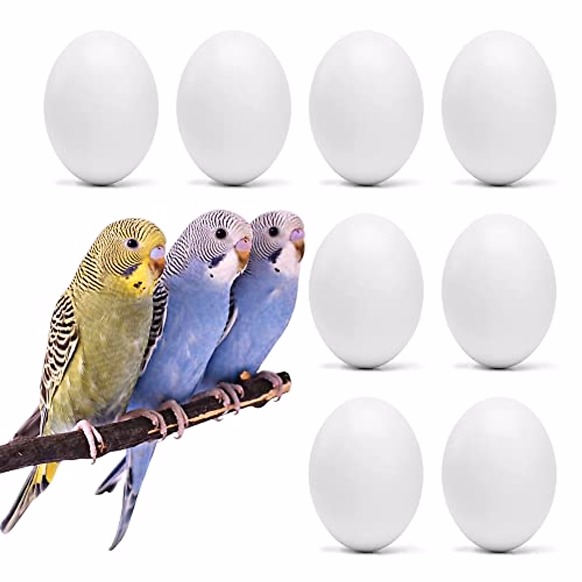 WOLEDOE 8Pcs Fake Bird Eggs, Stop Egg Laying fit Parrotlet, American Parakeet, Budgie, Diamond-Dove Artificial Eggs 14mm*19mm