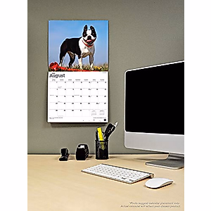 For the Love of Bulldogs 2022 14 x 12 Inch Monthly Deluxe Wall Calendar with Foil Stamped Cover, Animal Dog Breeds DogDays