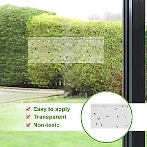 LFSYS 50 Pack Window Fly Traps, Fruit Fly Traps for Indoors, Fly Paper Sticky Strips, Fly Traps for Indoors Clear