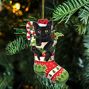 Black Cat Funny Acrylic Ornament - Hilarious Sock Design - Dark Humor Christmas Tree Decoration - 2024 Kitten Christmas Ornament