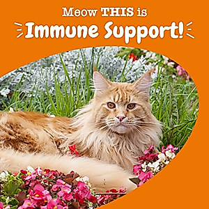 Zesty Paws Aller-Immune Soft Chews for Cats - with L-Lysine, EpiCor, Astragalus Root, Quercetin & Antioxidants - Advanced Functional Supplement for Cat Immune Support - Bacon Flavor - 60 Count