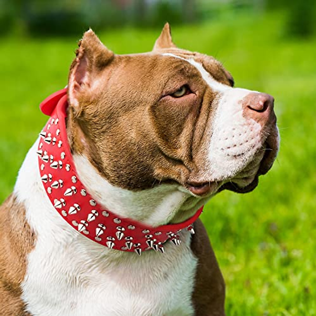 Epesiri Adjustable Wide Spiked Dog Collar, Mushroom Rivet PU Leather Cat Dog Collars, Durable Spike Studded Pet Collar for Small Medium Large Breed, PitBull Mastiff Bulldog Pugs Husky Rottweiler Black