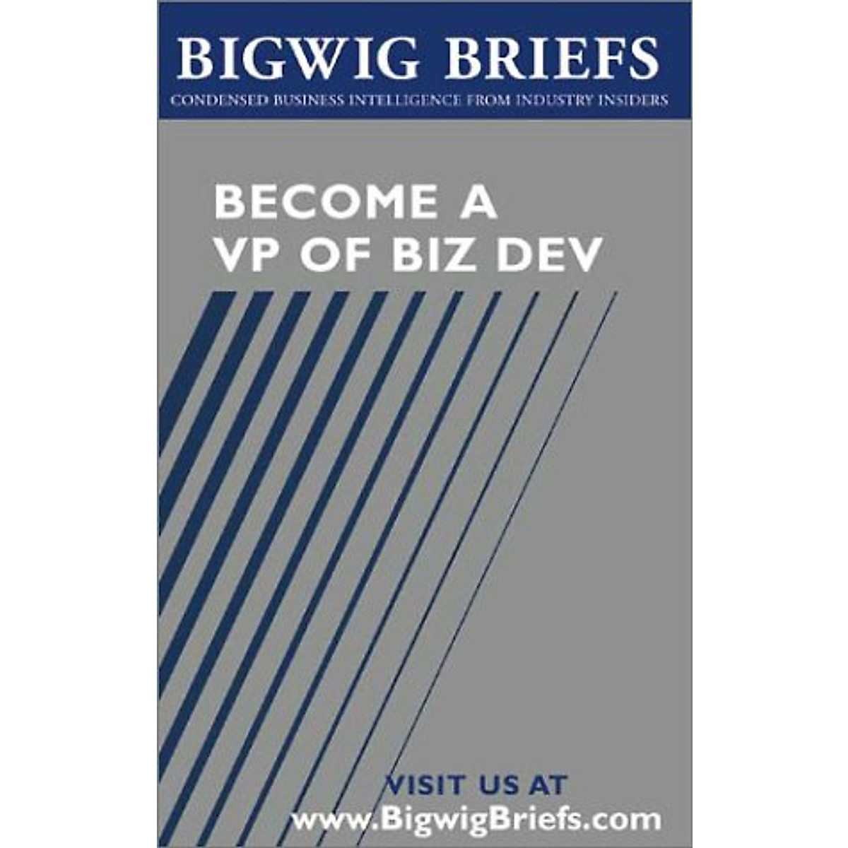Become a VP of Business Development: Leading Deal Makers Reveal What It Takes to Get There, Stay There, and Empower Others That Work With You (Bigwig Briefs)