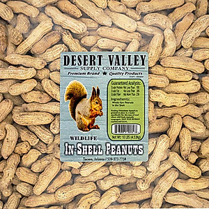 Desert Valley in-Shell Peanuts, All Natural Premium Wild Bird and Wildlife Food for Squirrels, Chipmunks, Cardinals, Jays, Woodpeckers and More (10 Pounds)