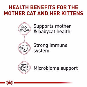 Royal Canin Feline Health Nutrition Mother & Babycat Dry Cat Food, 3 lb Bag