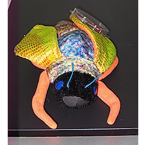 Ty Beanie Baby ~ TWITTERBUG the Cicada ~ MINT with MINT TAGS ~ RETIRED ,#G14E6GE4R-GE 4-TEW6W209527