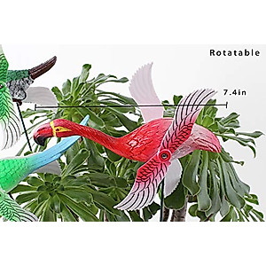 Wind Spinners Pinwheels Whirlygigs Hummingbird Lawn Garden Stakes Bird Decorations Cardinal Outdoor Decorative Yard Decor Patio Accessories Windmills Ornaments Plastic Art Christmas Whimsical Gifts