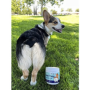 Great Poop Probiotics for Dogs - A Fiber for Dogs Supplement with Dog Probiotics and Digestive Enzymes for a Healthy Gut, Firm Stool & Diarrhea Relief - Chicken Flavored Pet Soft Chews with Prebiotics