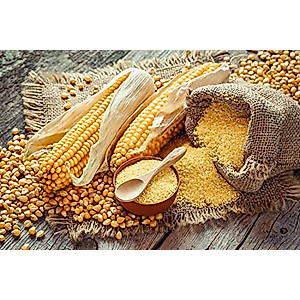 200+ Corn Seeds for Planting (4 Varieties) Glass Gem Corn, Sweet Corn, Silver Queen Corn, red Corn Non-GMO Heirloom, 90% Germination Rates Open Pollinated