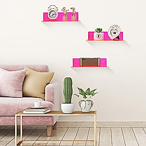 Set of 2 Acrylic Shelves 12 Inch Acrylic Wall Shelf Acrylic Floating Shelves Wall Mounted Display Organizer Book Shelf for Bedroom Living Room Bathroom Office Nursery Kitchen Book Display, Pink