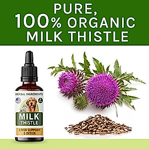 Milk Thistle for Dogs and Cats - Liver Support Supplement - Canine Hepatic Care - Cat & Dog Liver Cleanse - Liquid Milk Thistle Drops for Pets - Liver Protection & Defence - Made in USA - 2 fl oz