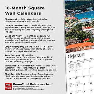 The Caribbean | 2024 12 x 24 Inch Monthly Square Wall Calendar | Foil Stamped Cover | BrownTrout | Travel Nature Tropical Beach