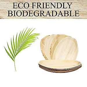 Upper Midland Products 6 Palm Leaf Disposable Platters, Biodegradable Eco Friendly Bamboo Wood Like Oval Serving Trays 15 x 10 Inches Paper and Plastic Alternative