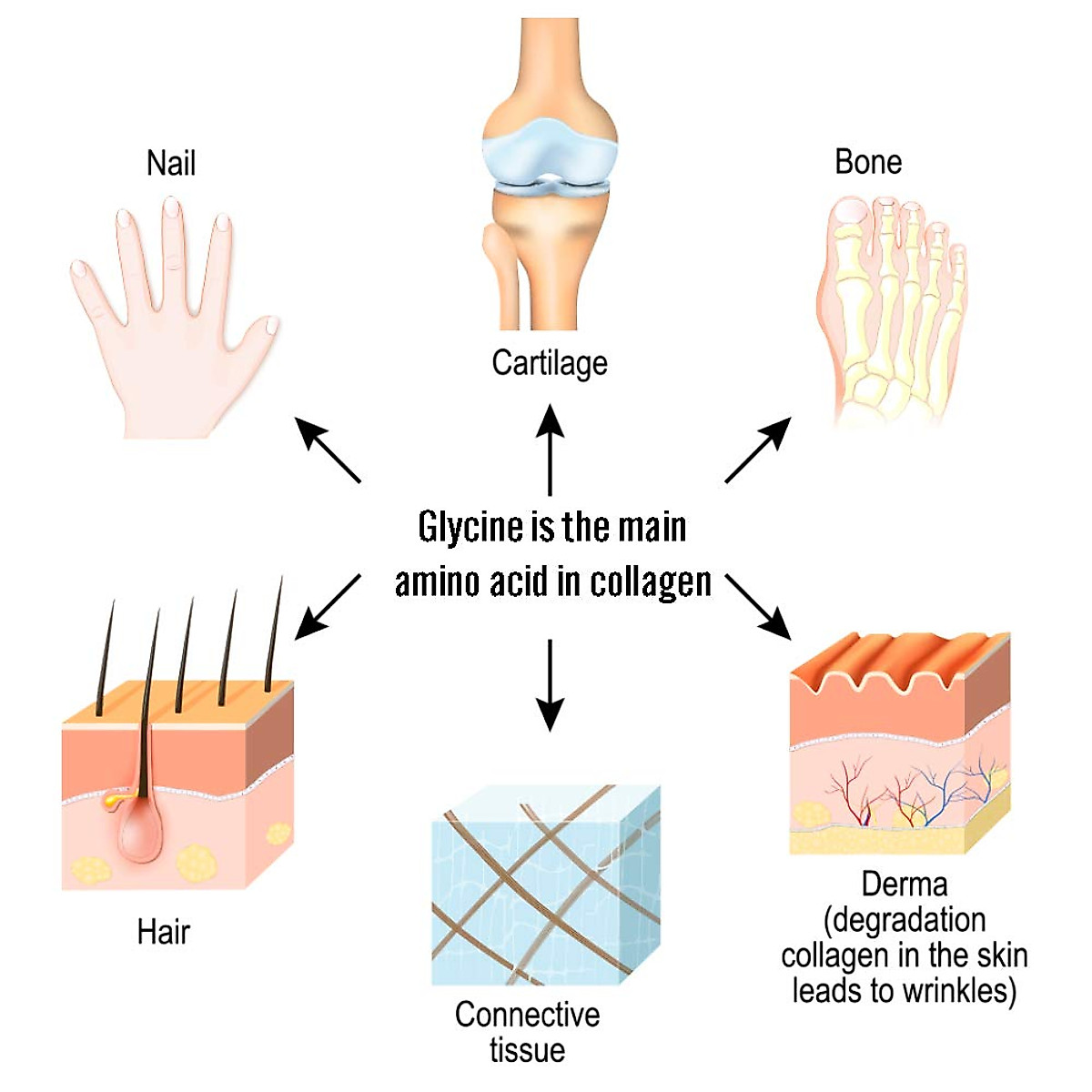 Glycine Powder (2 lbs) - Promotes Restful Sleep, Muscle Energy and Strength, Memory and Cognition Support (Resealable Bag)