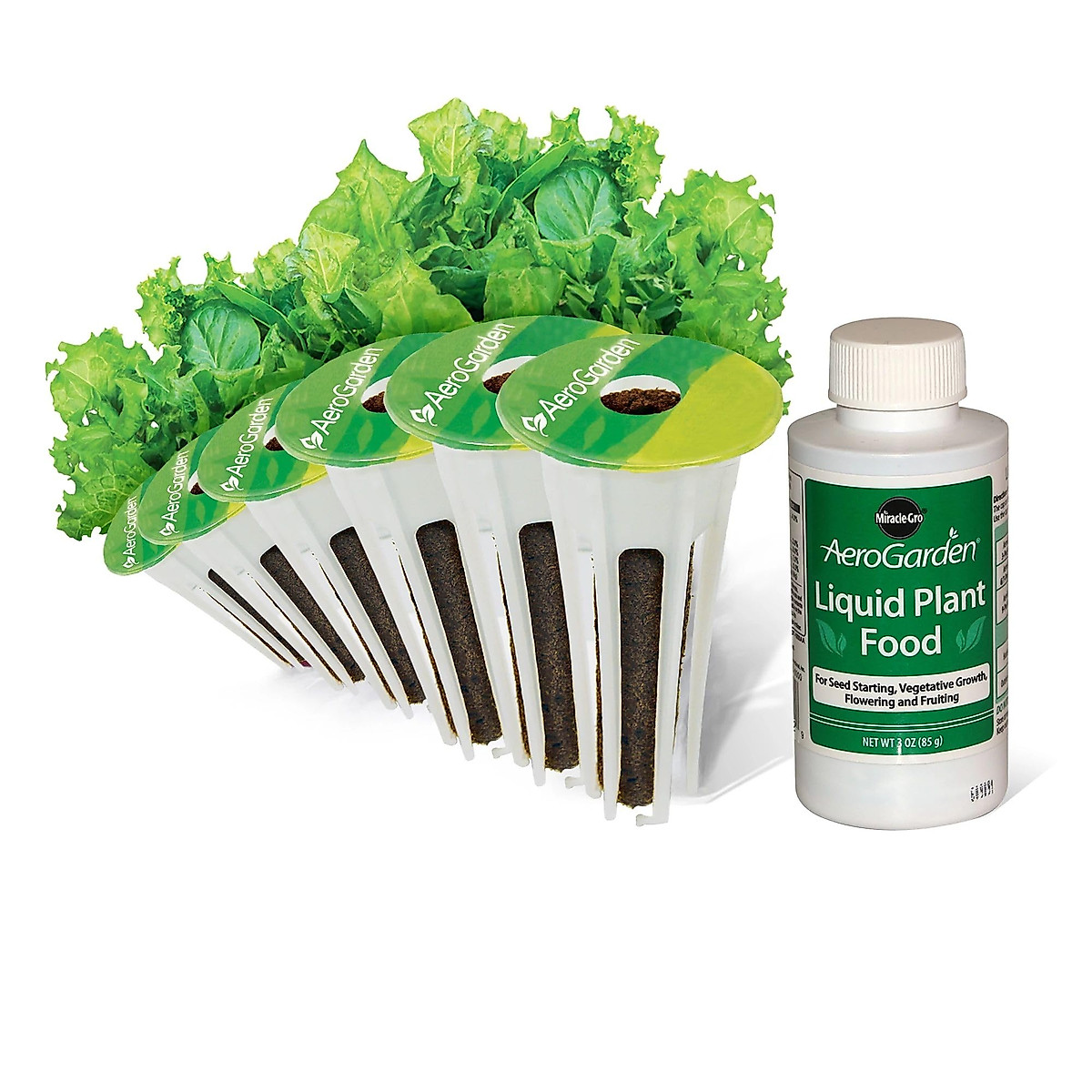 Aerogarden Salad Greens Seed Pod Kit with Red and Green Leaf, Romaine and Butter Head Lettuce, Liquid Plant Food and Growing Guide (6-Pod)