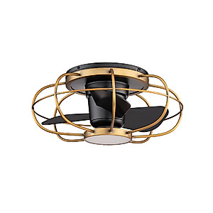 WAC Smart Fans Aella Indoor and Outdoor 3-Blade Caged Flush Mount Smart Home Ceiling Fan 22in Aged Brass Matte Black with 3000K LED Light Kit and Remote Control works with Alexa and iOS or Android App