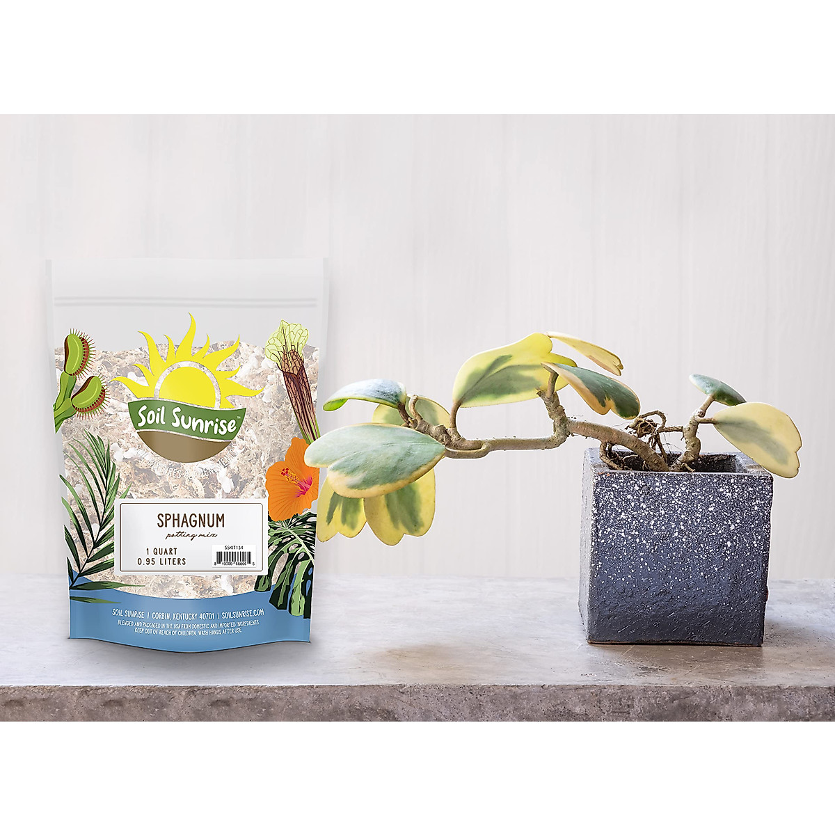 Sphagnum Moss Potting Mix (1 Quart); for Carnivorous Plants: Blend of Dried Moss with Perlite