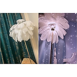 GIOAMH Natural Ostrich Feather Floor Lamp, Simple Modern Bedroom and Living Room Standing Lamp, Golden Lamp Body, G4-LED Bulb (White)