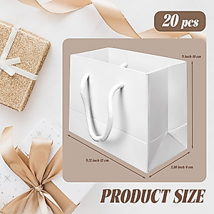 ISUSSER 20 Pack 4.7 x 2.4 x 4 Inches Extra Small Gift Bags, Mini Gift Wrap Paper Bags with Handles for Birthday Gifts, Baby Shower, Weddings, Party Favors, Graduation, Holidays, Celebrations