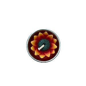 Mix Flower Tealight Candles Scented Tea Lights Aromatherapy Relax Candles for Birthday Party and Wedding Favor Decoration Pack of 10 Pcs.