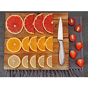 WELLSTAR Utility Knife, 4 Inch Serrated Paring Knife with Super Sharp High Carbon Stainless Steel Blade for Fruit Vegetable Cutting Peeling Slicing – Silver