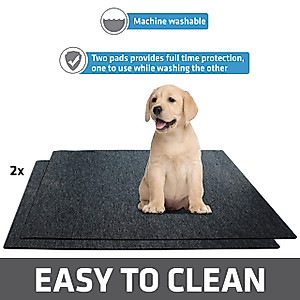 Drymate Washable Pee Pads for Dogs (2-Pack), Waterproof, Absorbent, Non-Slip, Reusable Pet Training Potty Puppy Mats, Housebreaking, Incontinence Bed Pads, Crate/Kennel (USA Made) (Large, 29” x 36”)