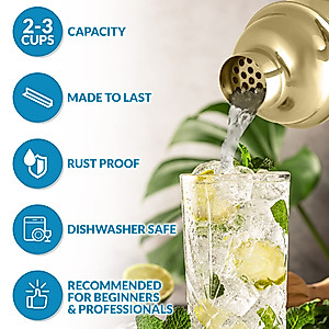 Large 24 oz Stainless Steel Cocktail Shaker Set - Mixed Drink Shaker - Martini Shaker Set with Built in Strainer, Double Sided Jigger & Combo Muddler Mixing Spoon - Pro Margarita Shaker - by Zulay