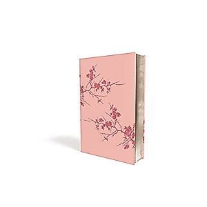 Santa Biblia de estudio Serie 50 RVR 1960 (Spanish Edition)