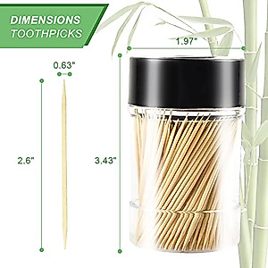 TRTRin [3000 Count 100% Natural Bamboo Toothpicks - With 1 Piece Reusable Toothpick Holder, Sturdy and Smooth Toothpicks for Parties, Appetizers, Olives, BBQ, Fruit and Teeth Cleaning, Black.