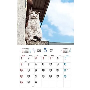 そとねこ (インプレスカレンダー2022)