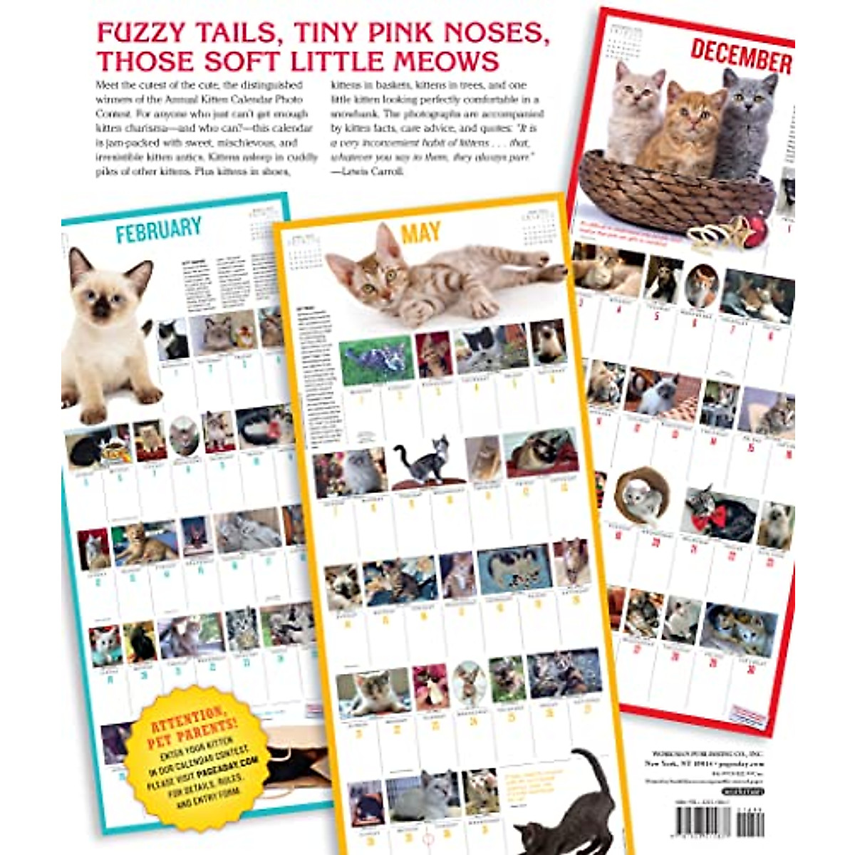 365 Kittens-A-Year Picture-A-Day Wall Calendar 2023: Absolutely Spilling Over With Kittens