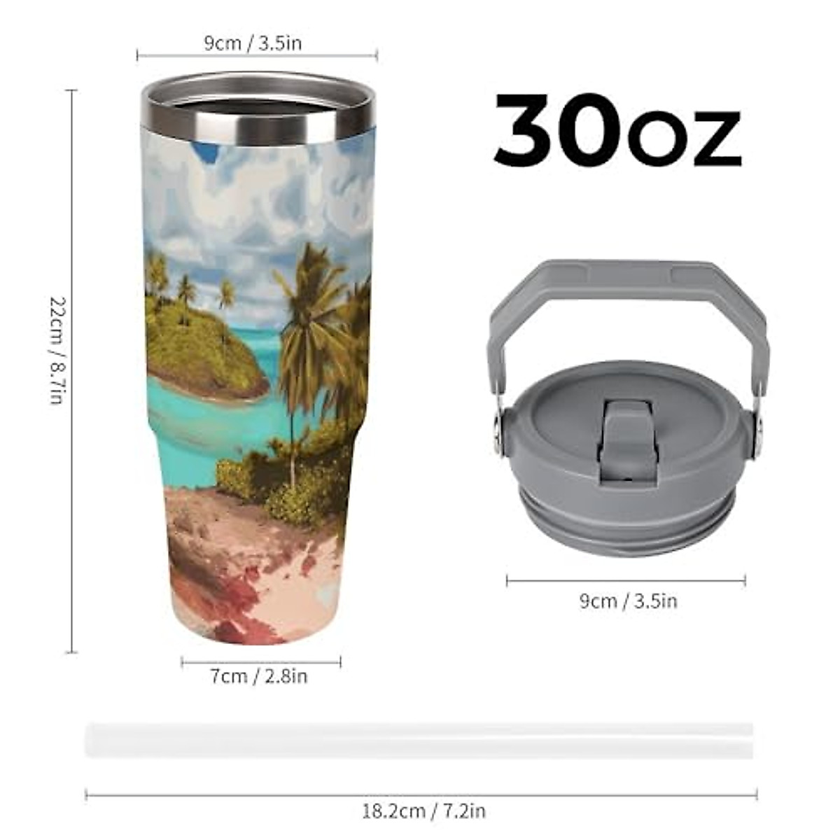 RTFGHJS Caribbean Scenery 30 Oz Tumbler with Handle And Flip Straw, Stainless Steel Vacuum Insulated Travel Mug, Thermal Cup for Coffee, Water, Iced Drinks, Fits Car Cup Holders (Home, Sports)