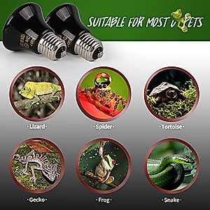 FIVEAGE 50W 4 Pack Mini Ceramic Heat Emitter Reptile Heat Lamp Bulb, No Harm No Light Emitting,Brooder Coop Heater Pet Heater for Reptile Amphibian