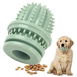 COMFPET Dog Chew Toys for Teething and Cleaning, Rubber Puppy Toys, Dog Dental Chews Toy, Interactive Dog Toys for Small/Medium Dog, Cactus Shape(Green)