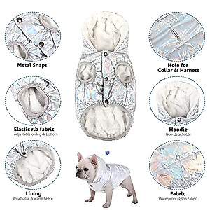 Dog Fleece Hoodie, Windproof Waterproof Dog Coat Fleece & Cotton Lined Warm Dog Jacket, Cold Weather Pet Apparel Clothes Vest for Small Medium Large Dog (S: Length 10.6", Chest 11.8"-15", Silver)