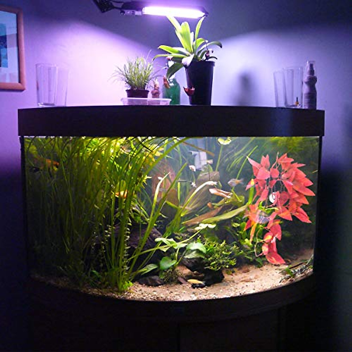 POPETPOP Aquarium Artificial Plant Fake Aquatic Plants Suction Cup Rattan Ornament for Fish Tank Landscape Decoration Red