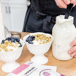 Cultures for Health Traditional Yogurt Starter Culture | 4 Packets Direct-Set Thermophilic Starter | Make Up To 12 Cups Thick, Tangy Probiotic Yogurt | Powdered Live Active Cultures for Yogurt Making