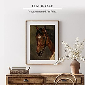Equestrian Wall Decor - Horse Art Print for Home Decor - Antique Horse Riding Wall Artwork Decoration Farmhouse Country Wall Art for Home Decor - 11x14 inches, Ready to Frame (Stallion Portrait)