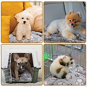 4 Pack Ultra Soft Dog Cat Bed Mat with Cute Prints Reversible Fleece Dog Crate Kennel Pad Cozy Washable Thickened Hamster Guinea Pig Bed Pet Bed Mat for Small Animals (Light Gray,13 x 19 Inches)