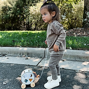 3 in 1 - Wooden Toddler Toy, Shape Sorting Toy, Pull Toy, & Stacking Toy, Toddler Blocks, Educational Toy for Baby Girls and Baby Boys, Montessori Toy for 1 Year Old & up hot Toy